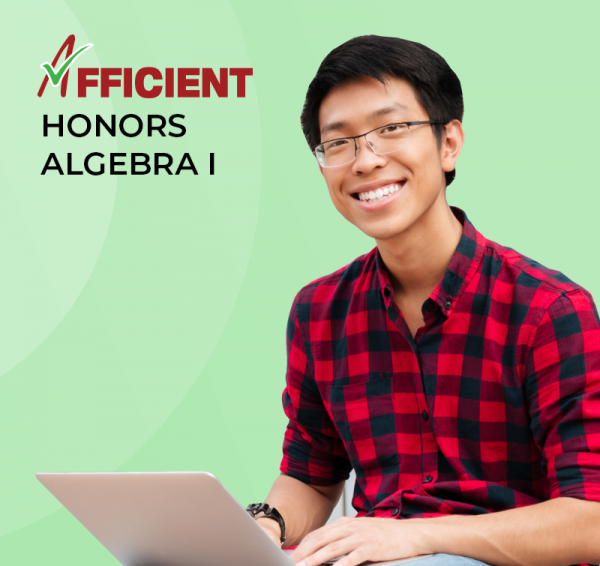 在线课程 – Afficient Academy